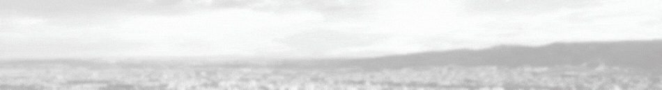 Qué es la moringa: para qué sirve, beneficios, y efectos