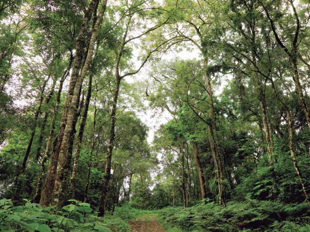 Las mejores fotos de las Yungas jujeñas en un libro