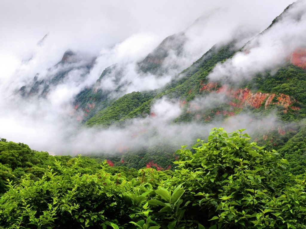 Las mejores fotos de las Yungas jujeñas en un libro