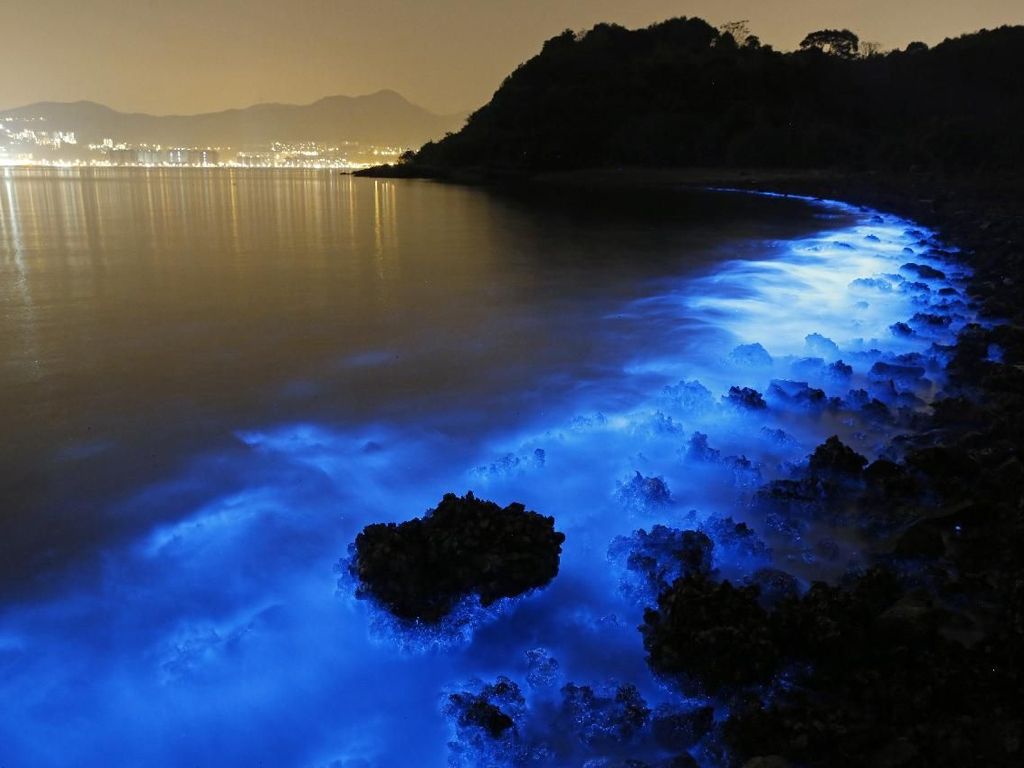 5 playas bioluminicentes que te volarán la cabeza