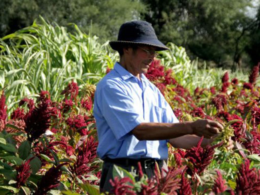 1° Encuentro de pequeños productores