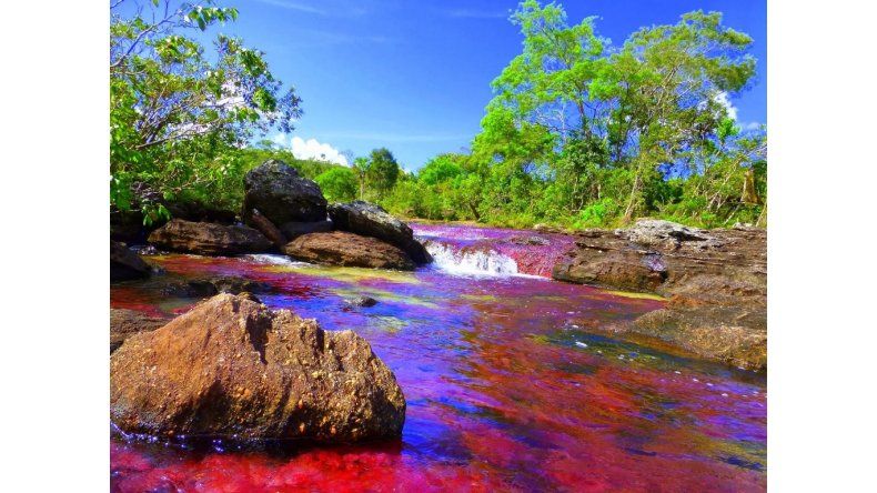 El impresionante río de cinco colores