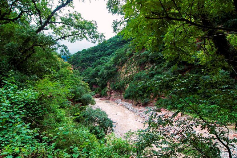Parque Nacional Calilegua: el sitio ideal para los amantes de la naturaleza