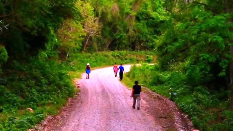 Parque Nacional Calilegua: el sitio ideal para los amantes de la naturaleza