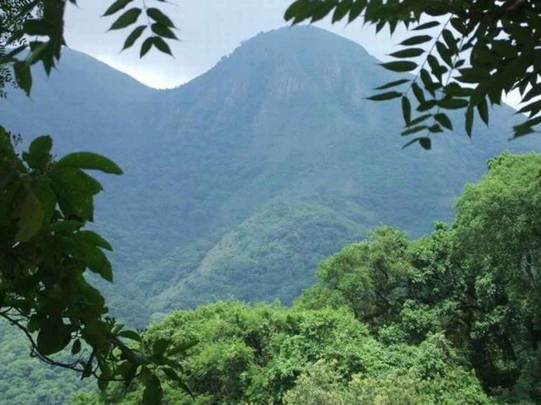Parque Nacional Calilegua, un lugar de naturaleza pura en el corazón de ...
