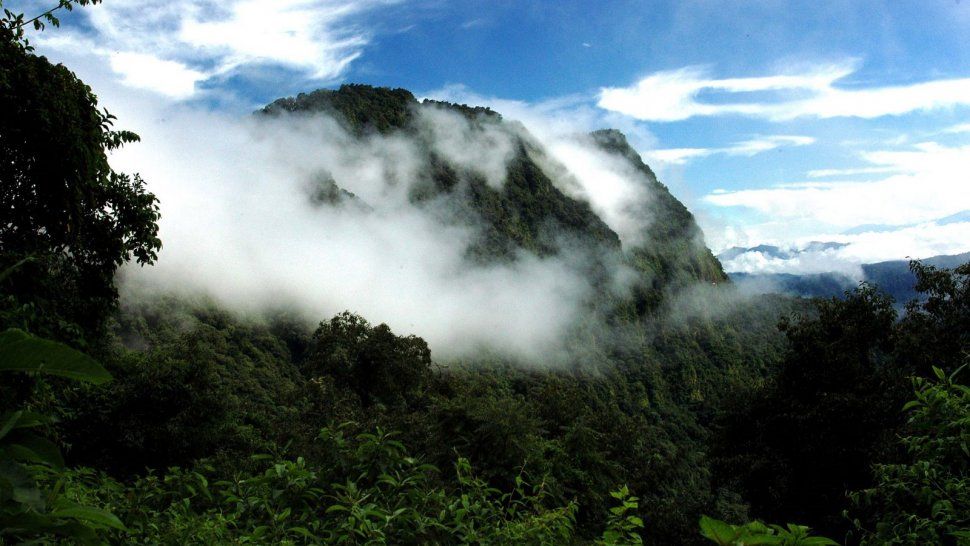 Parque Nacional Calilegua, un lugar de naturaleza pura en el corazón de ...