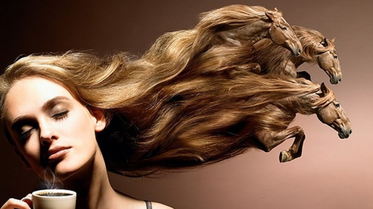 ¿En qué consiste la tricofilia?