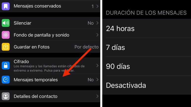 Qué es la banderita de WhatsApp y su función en los mensajes