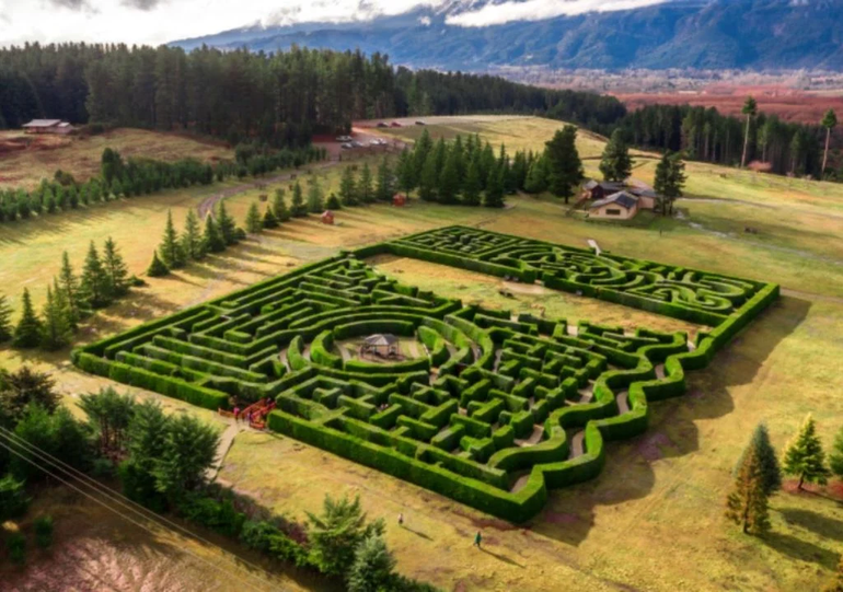 Estos son los 5 mejores laberintos naturales de Argentina