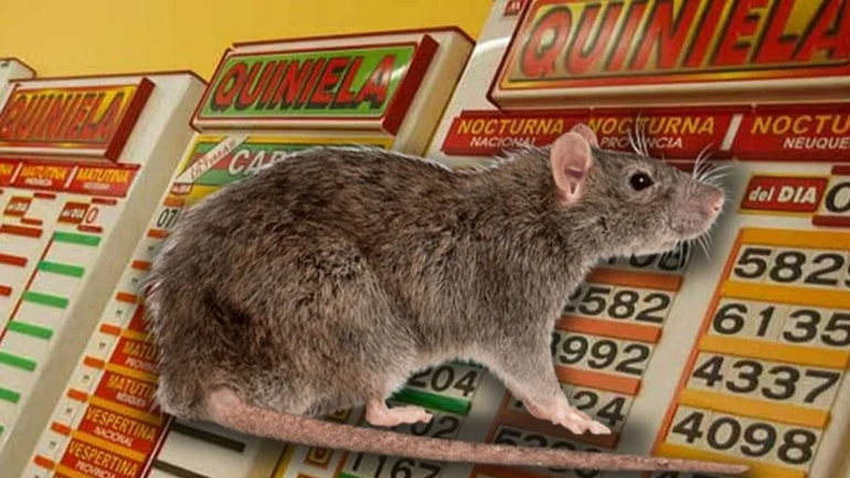 ¿Qué número es la rata en la quiniela?