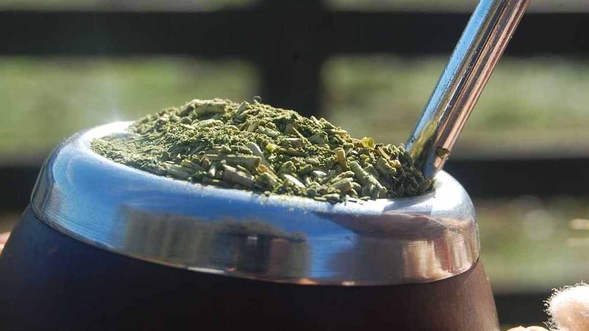 Conocé los 6 mitos sobre el mate