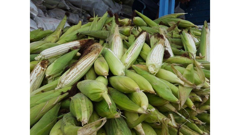 Gastronomía de Semana Santa: los choclos, el otro objetivo