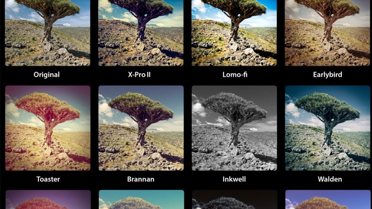 Los mejores filtros para que triunfen tus fotos