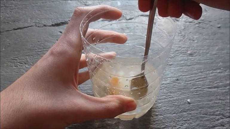 7 trucos caseros para espantar y eliminar las moscas de tu casa