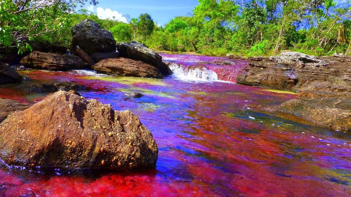 El impresionante río de cinco colores
