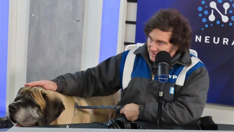 Javier Milei llevó a su perro Conan a una entrevista: Este es uno de ...