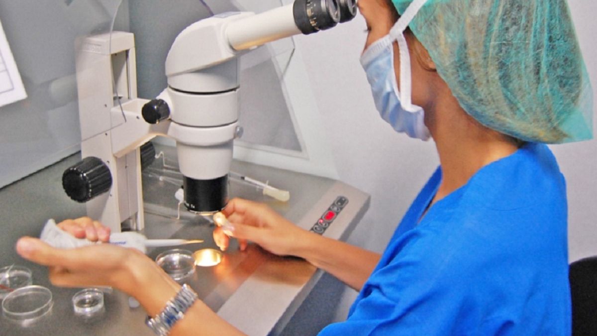 En 10 años se quintuplicó la cantidad de mujeres que se inseminan para ...