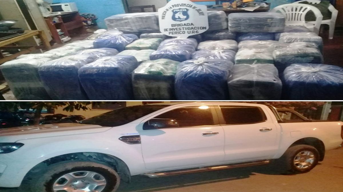 Secuestraron en Perico 600 kilos de hojas de coca valuado en un millón ...