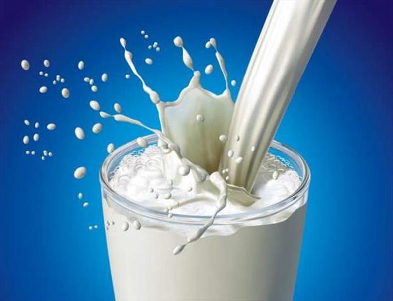 Día Mundial de la Leche: la ciencia destaca sus beneficios para la salud