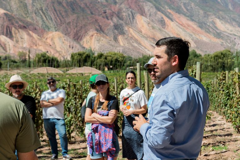 La Vendimia de El Bayeh 2024, un verdadero éxito