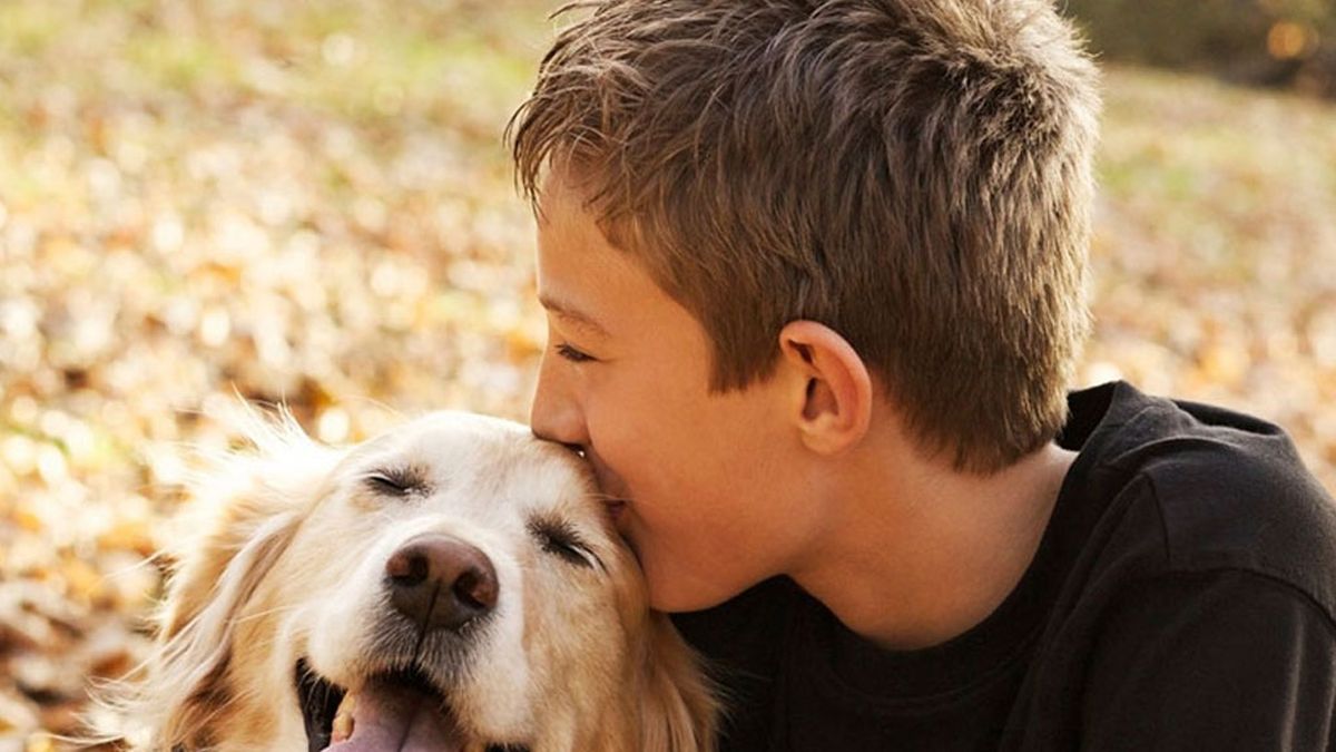 La ciencia explicó por qué hablar con tu perro o gato es un síntoma de ...