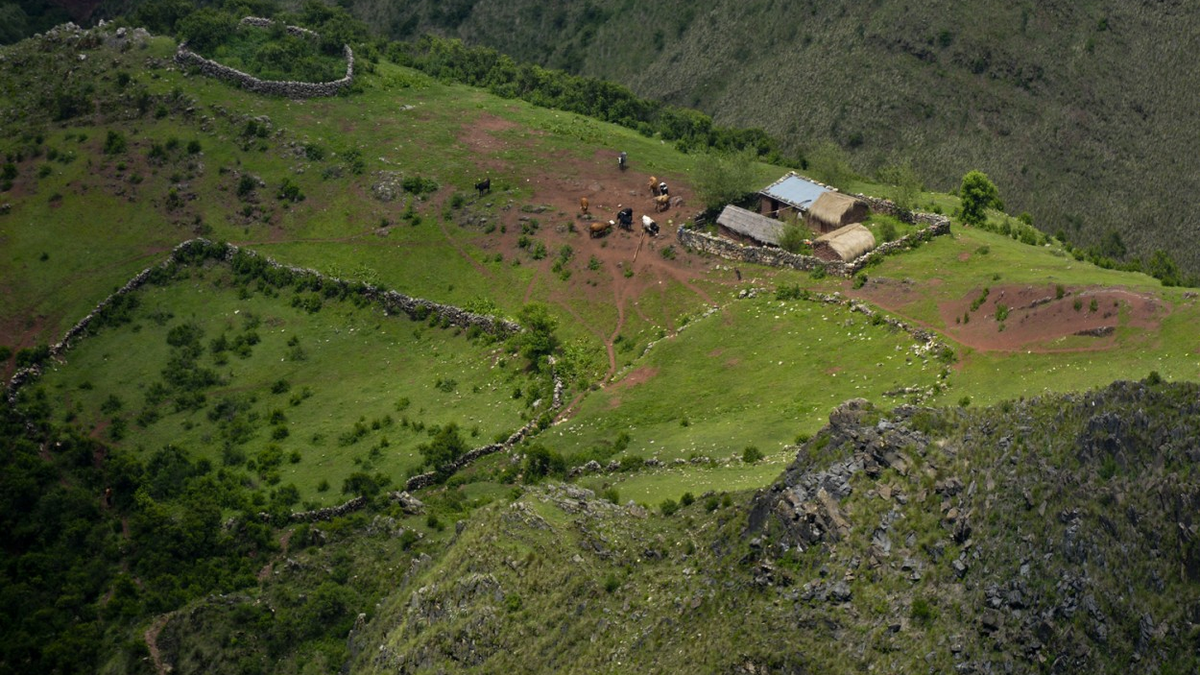 El milagro de Molulo: dos niños de Jujuy sobrevivieron 14 días comiendo ...