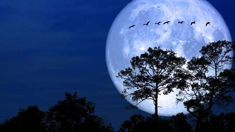 Luna de Nieve: qué es, cuándo y cómo verla