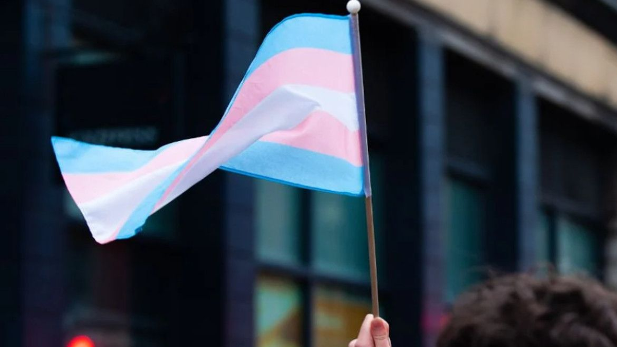 LGBT: censo de población trans y no binaria en Jujuy