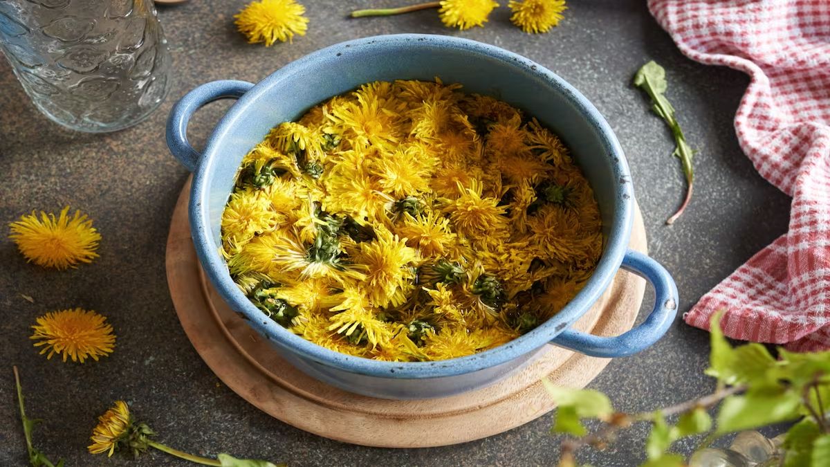 Diente de león: una planta medicinal con grandes beneficios