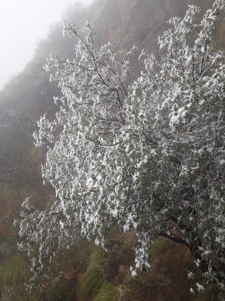 Valle Colorado, Santa Ana y Valle Grande amanecieron nevados