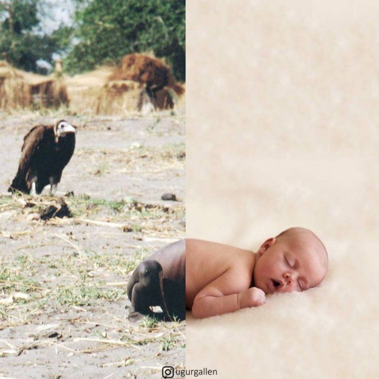 Mundos Paralelos del artista turco Urgur Gallen