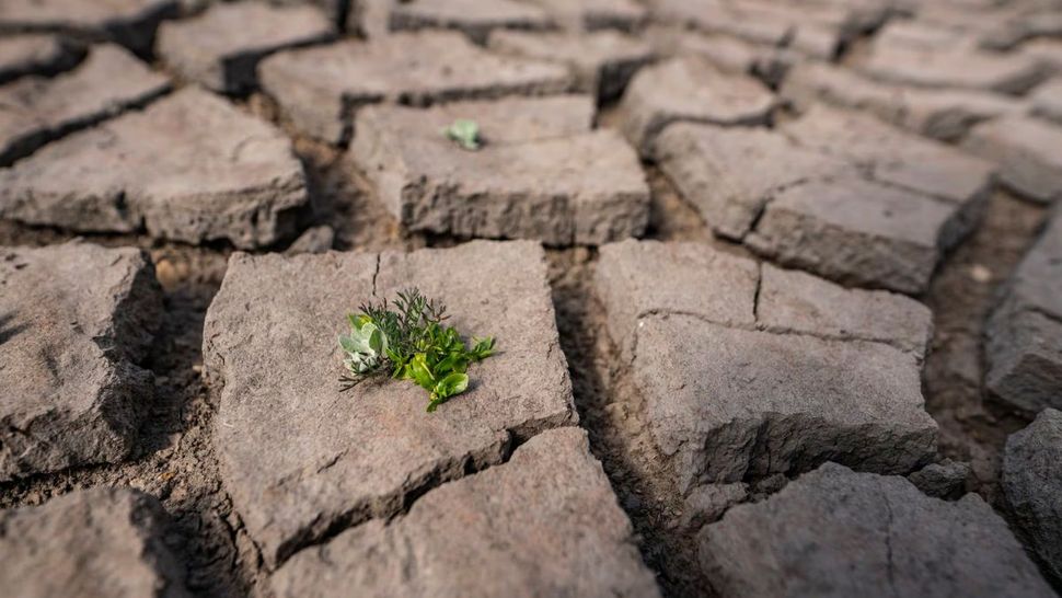 Impactantes imágenes de la crisis hídrica en Colombia