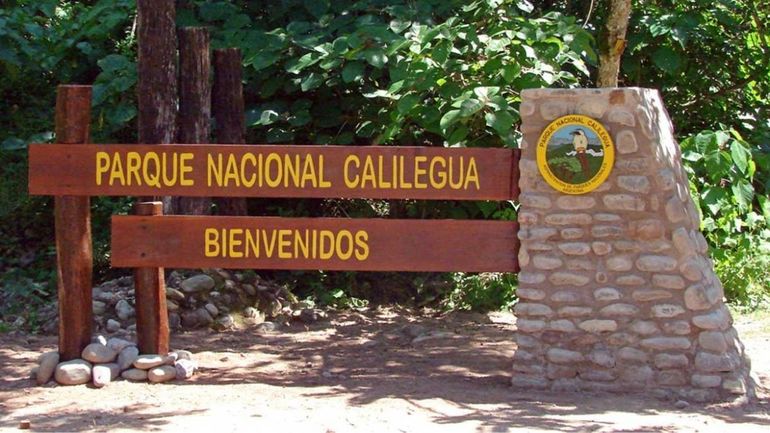 Parque Nacional Calilegua: crearán centro de investigación