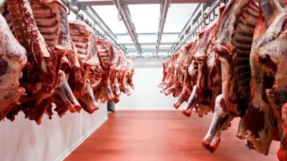 La exportación de carne vacuna fue récord en mayo