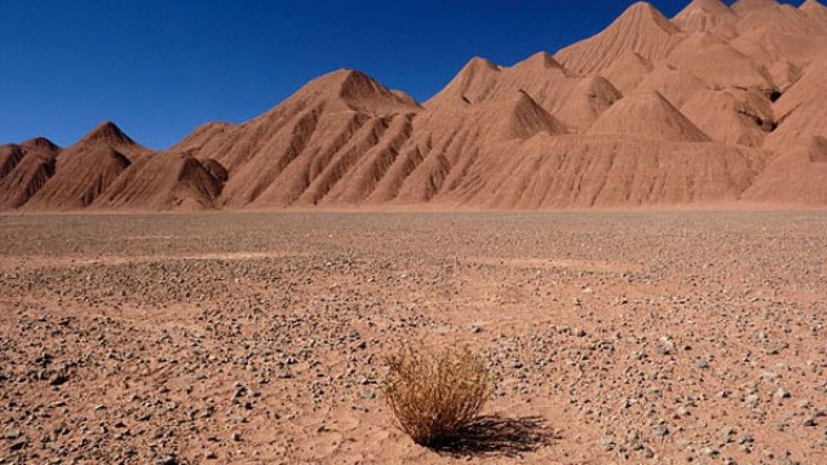 Región Puna reafirma su apuesta al desarrollo turístico