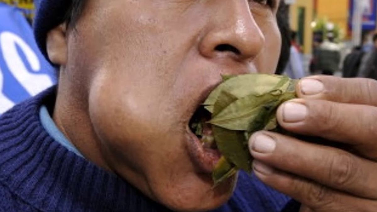 Choferes dieron positivo en un narcotest y dijeron que era por coquear