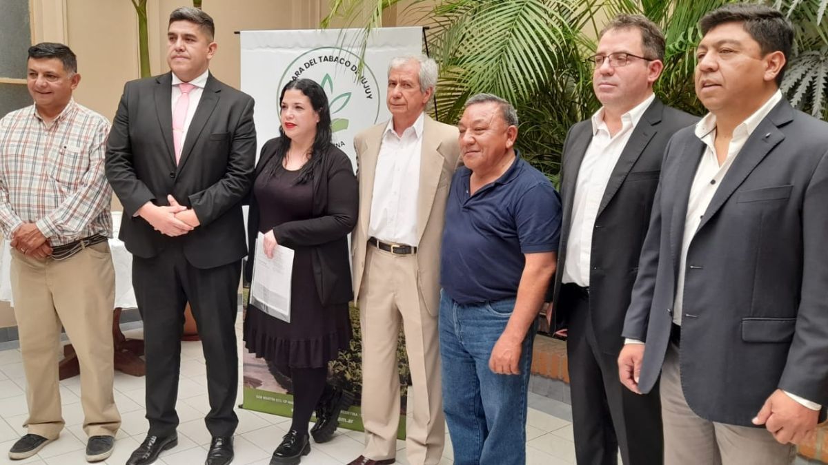 CEDEMS: designaron a una interventora por 90 días