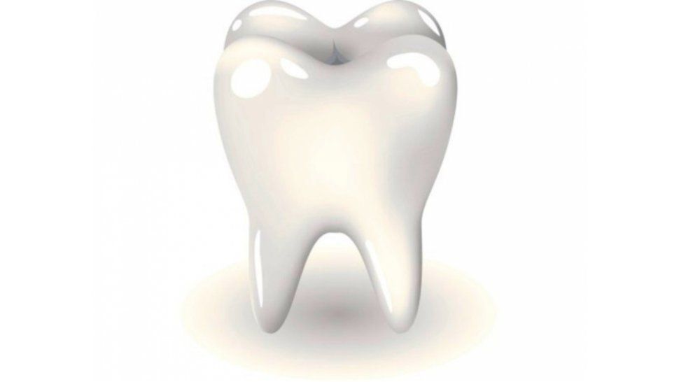 Los dientes revelan nuestros orígenes