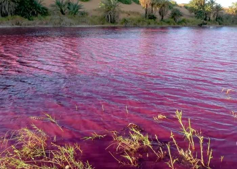 El río Nilo se tiñó de color rojo: los posibles motivos