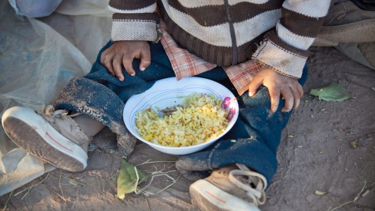 Hoy es el Día Mundial del Hambre: por qué se conmemora