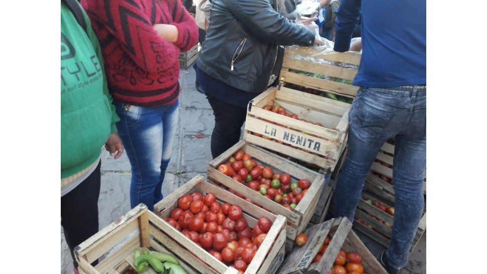 Tomatazo y protesta en Plaza Belgrano: regalaron 10 toneladas de tomate