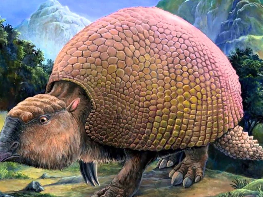 ¿Qué nombre te gusta para el gliptodonte?