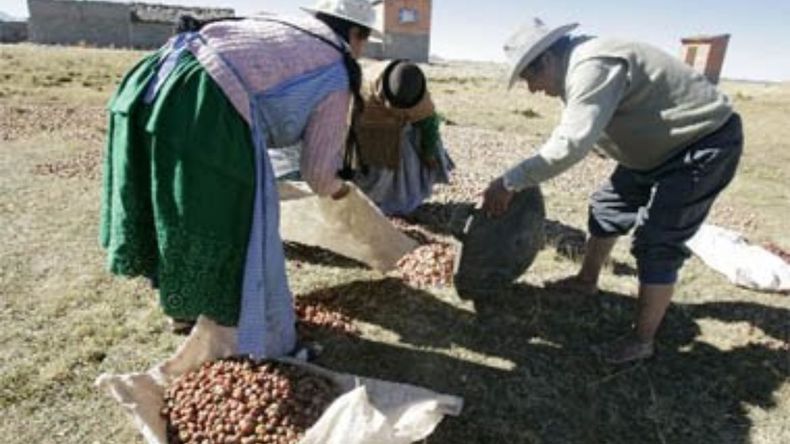 El secreto milenario de los Andes que desafía al tiempo y al clima