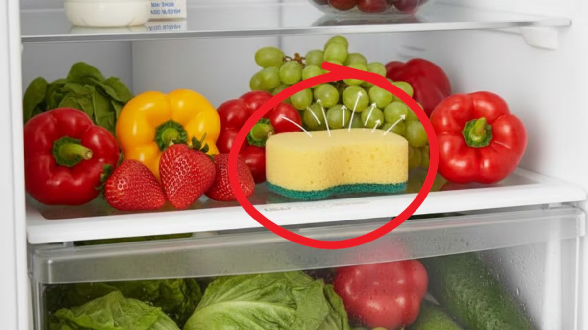 El truco para mantener frescas por más tiempo tus frutas y verduras ...
