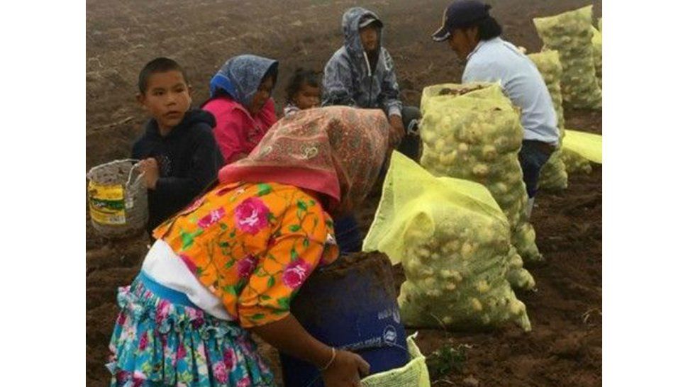 El trabajo inhumano que avergüenza a México