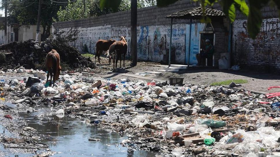 Tucumán: declararán la emergencia sanitaria y ambiental