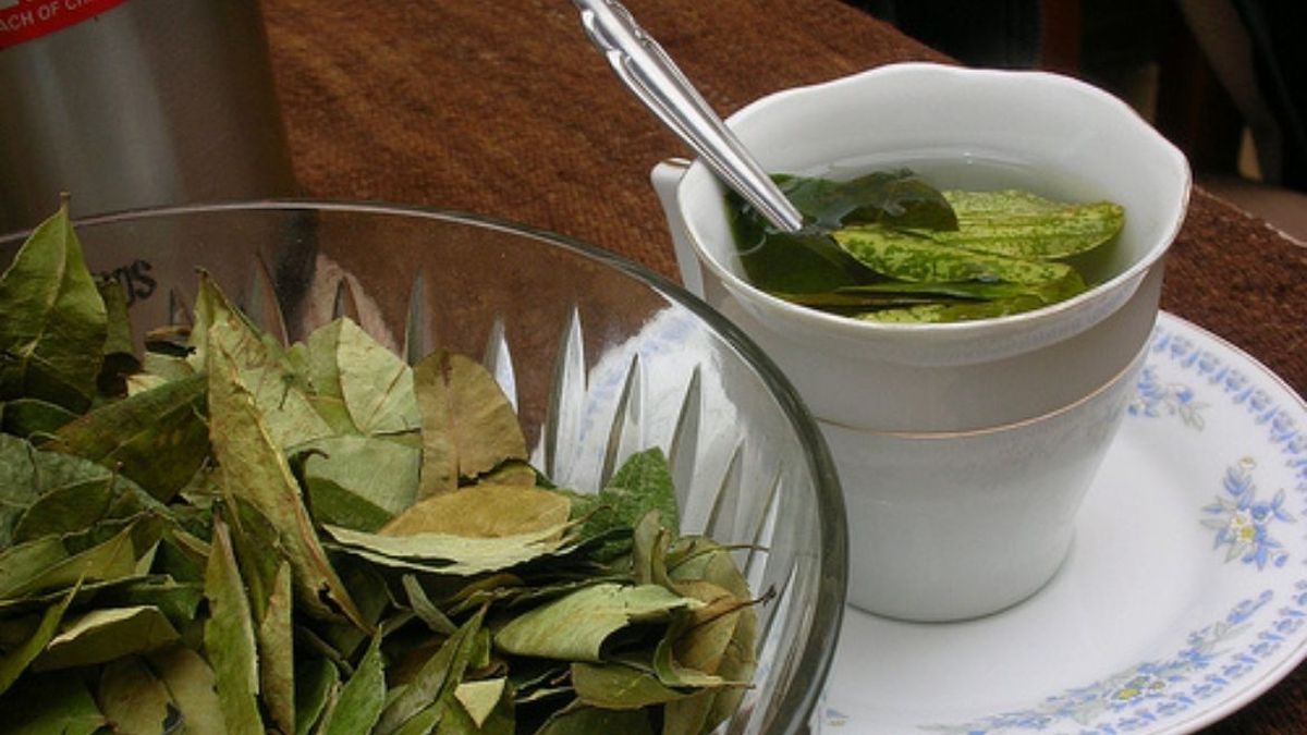 Té de coca: ahora está prohibido para deportistas