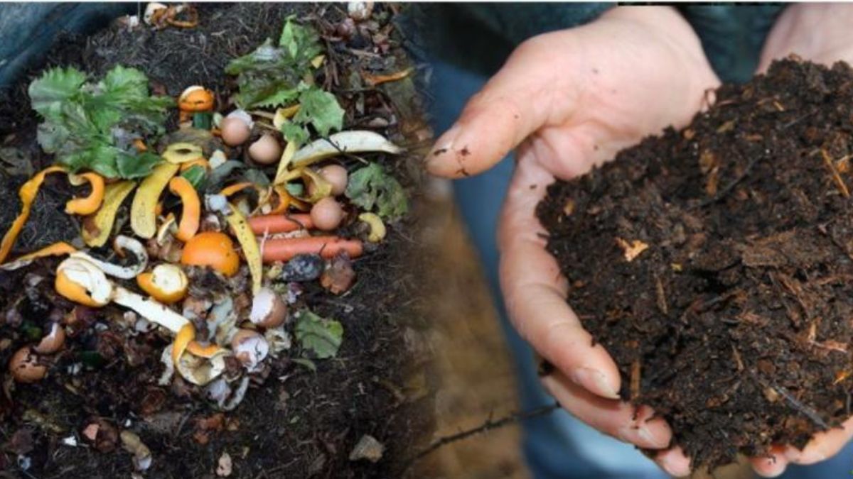 ¿Qué es el compost? Consejos para hacerlo en tu casa