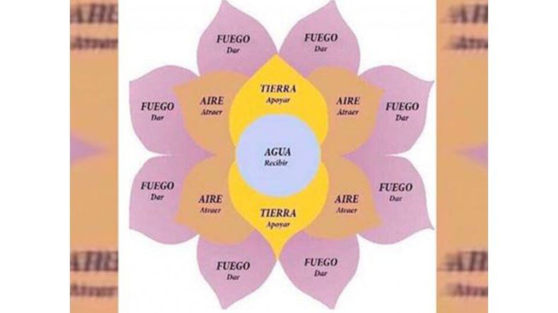 La Flor de la Abundancia, la estafa que se viralizó