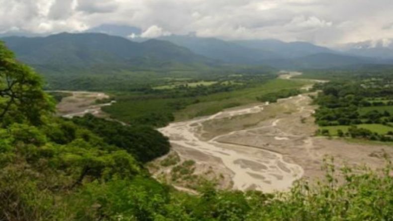 Bosque Modelo Jujuy: por qué se creó y de qué se trata